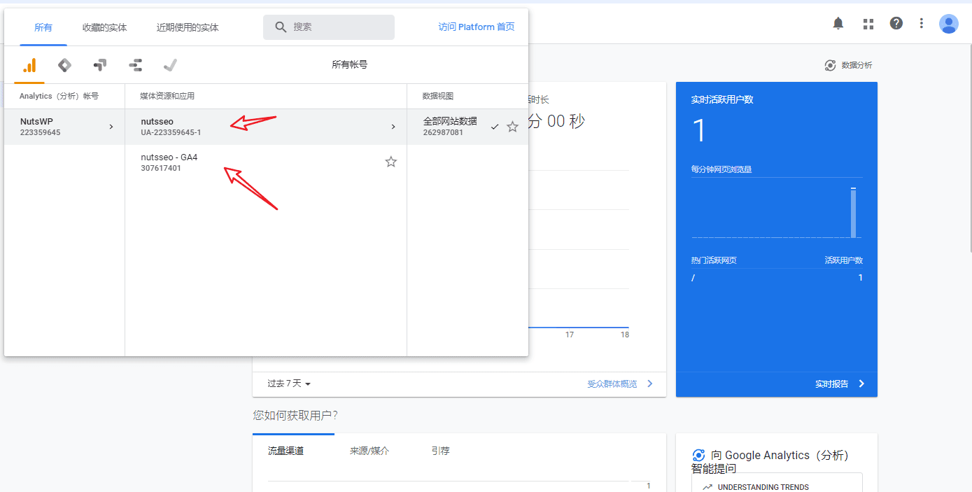 WordPress网站安装Google Analysis代码【2022】 - 【NUTSWP】