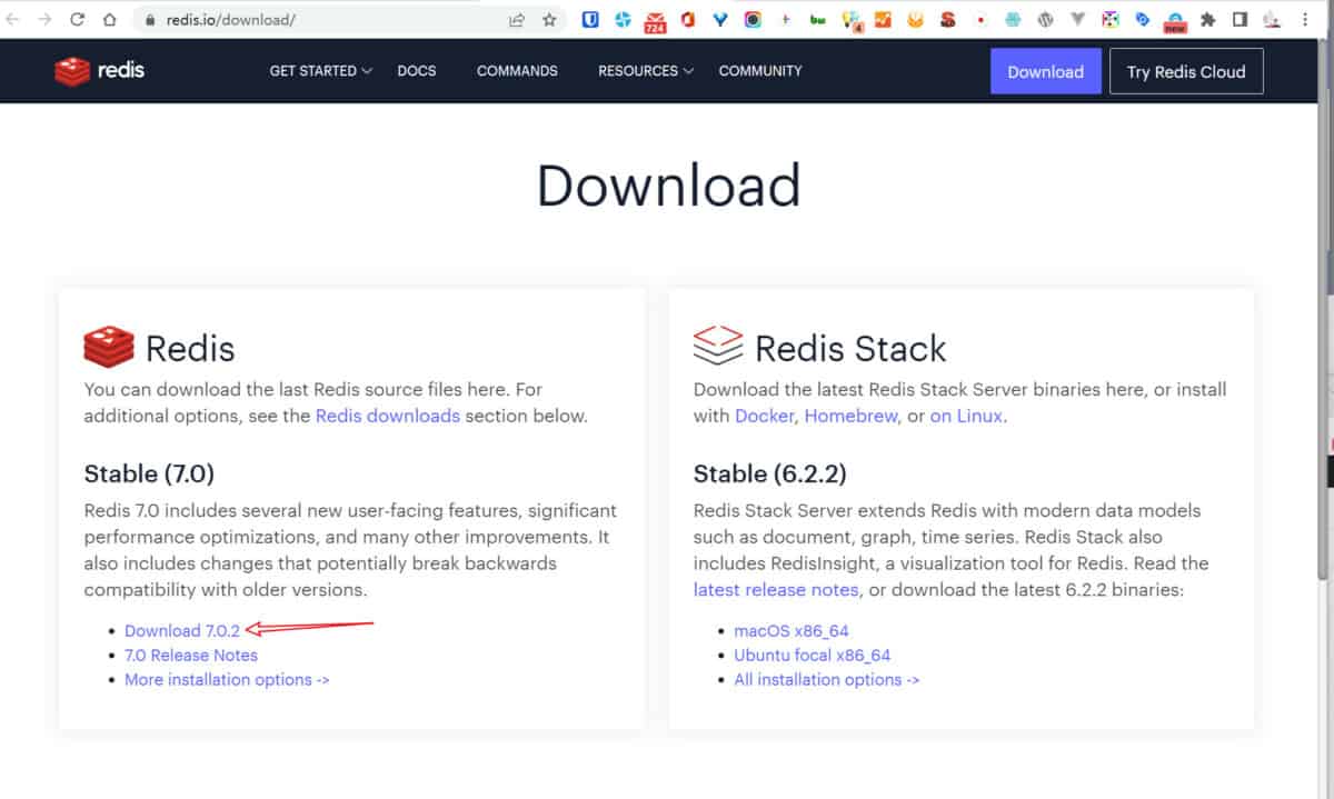 Cpanel教程：如何为WordPress网站设置Redis缓存服务？ - 【NUTSWP】