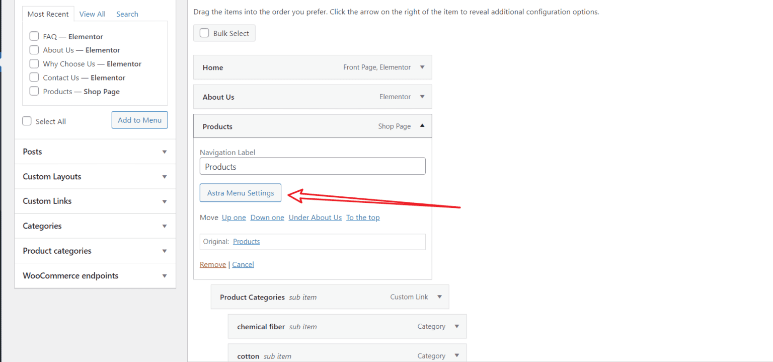 如何Mega Menu制作【Astra主题】附视频 - 【NUTSWP】