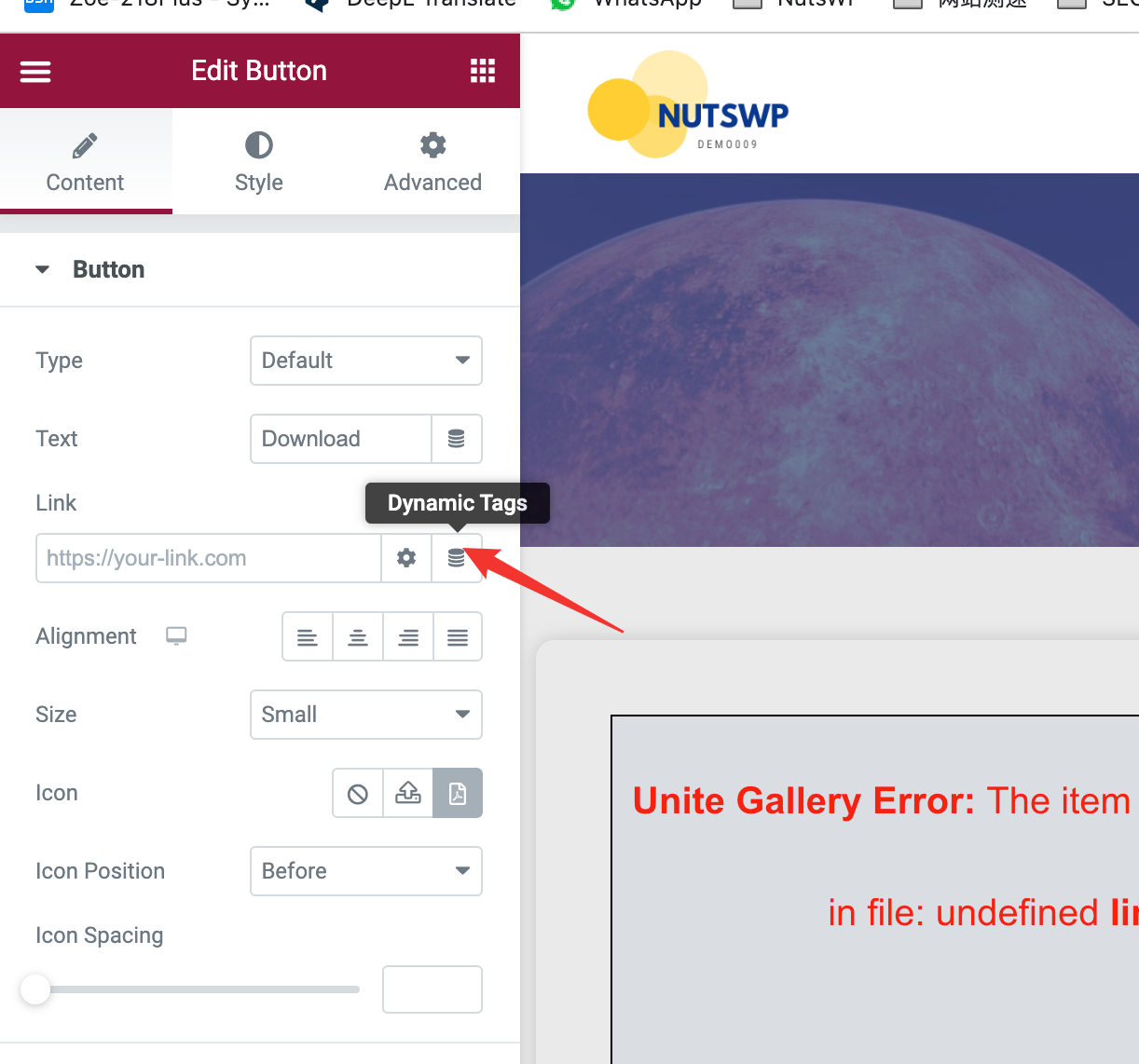 如何在产品页面用Elementor添加下载按钮？（附视频） - 【NUTSWP】