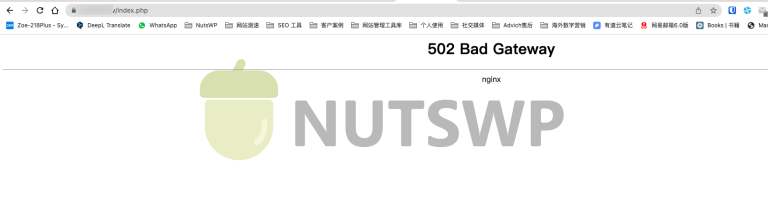 记录一次宝塔新创建网站打开502解决过程 - 【NUTSWP】