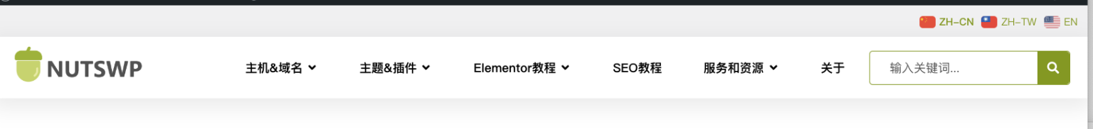 如何实现WordPress网站多语言自动翻译【GTranslate免费版教程】 - 【NUTSWP】